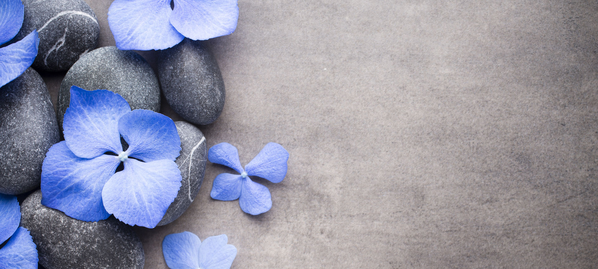 lotus-footer-hero | Lotus Integrated Health